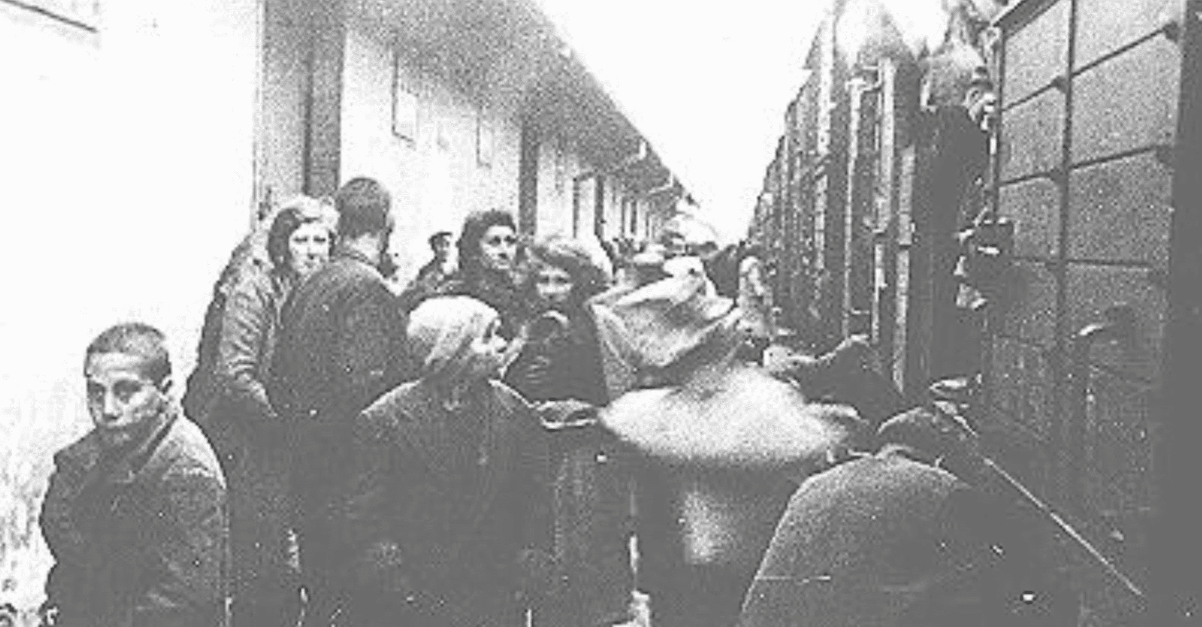 The train to Treblinka - The last survivors of the Holocaust : The last ...
