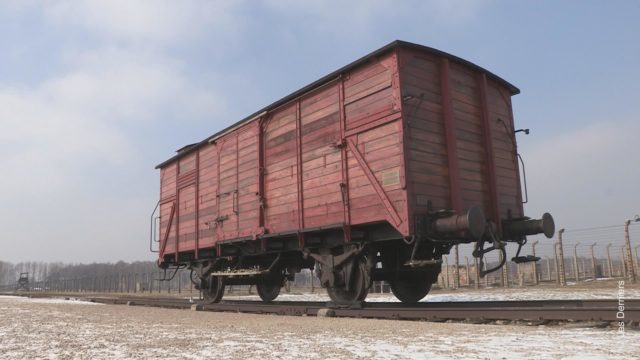 The cattle wagon - The last survivors of the Holocaust : The last ...