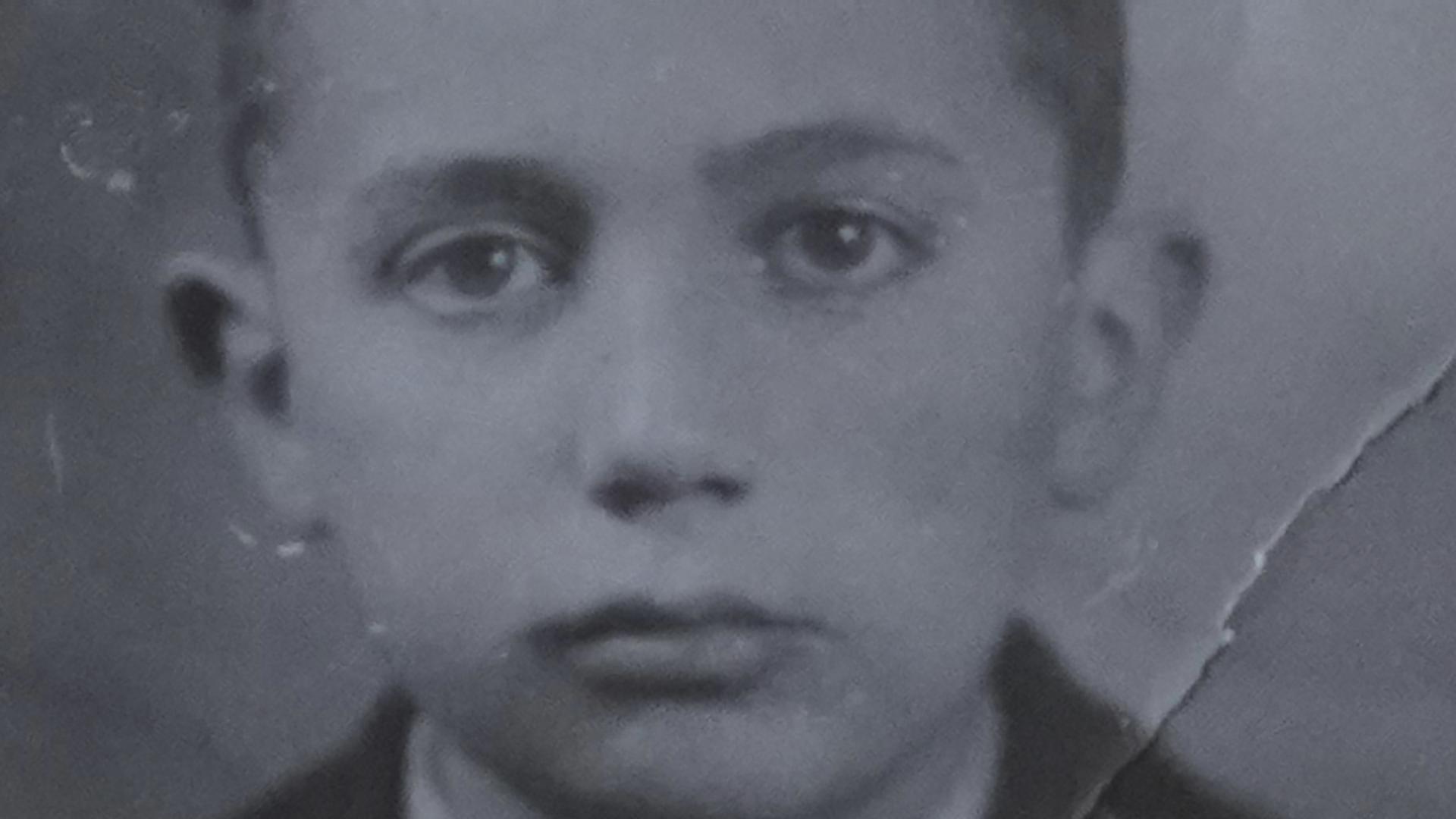 Refusing death - The last survivors of the Holocaust : The last ...